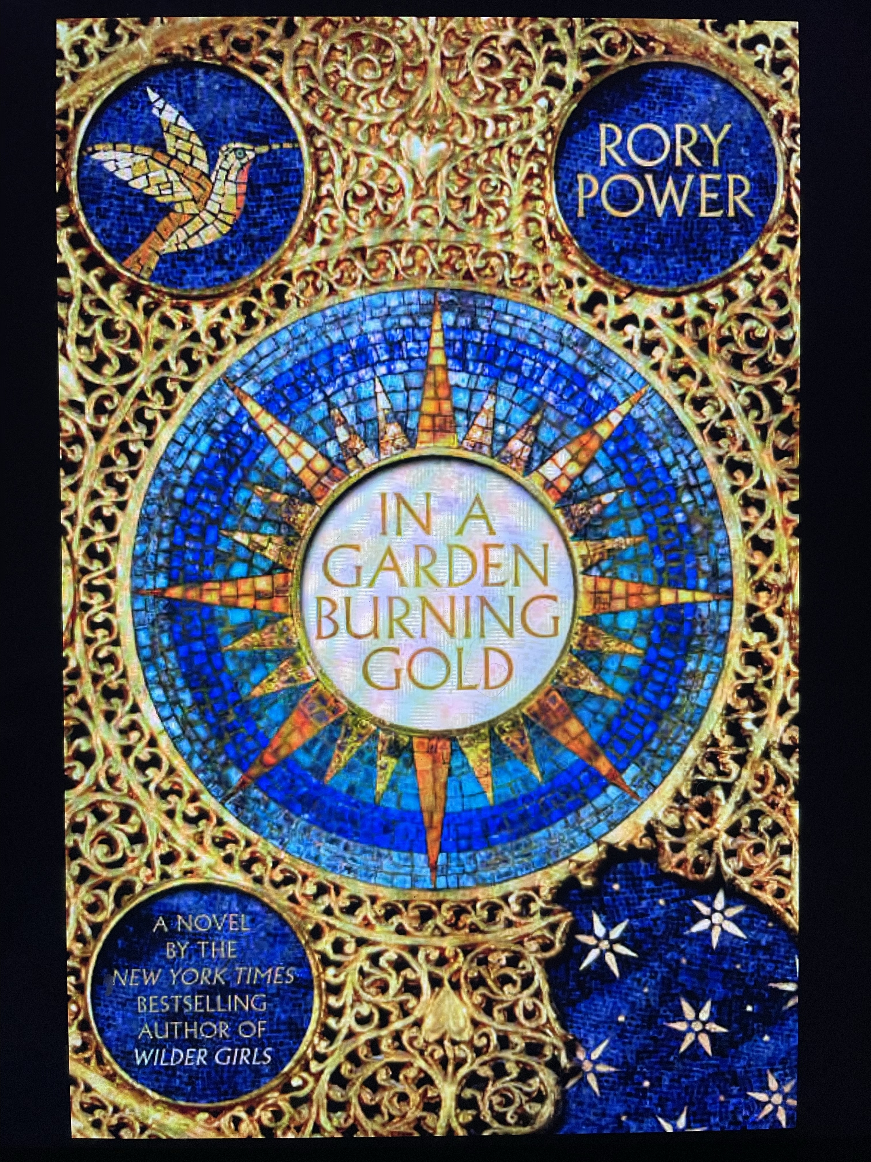 Review: In A Garden Burning Gold by Rory Power – No Pithy Phrase